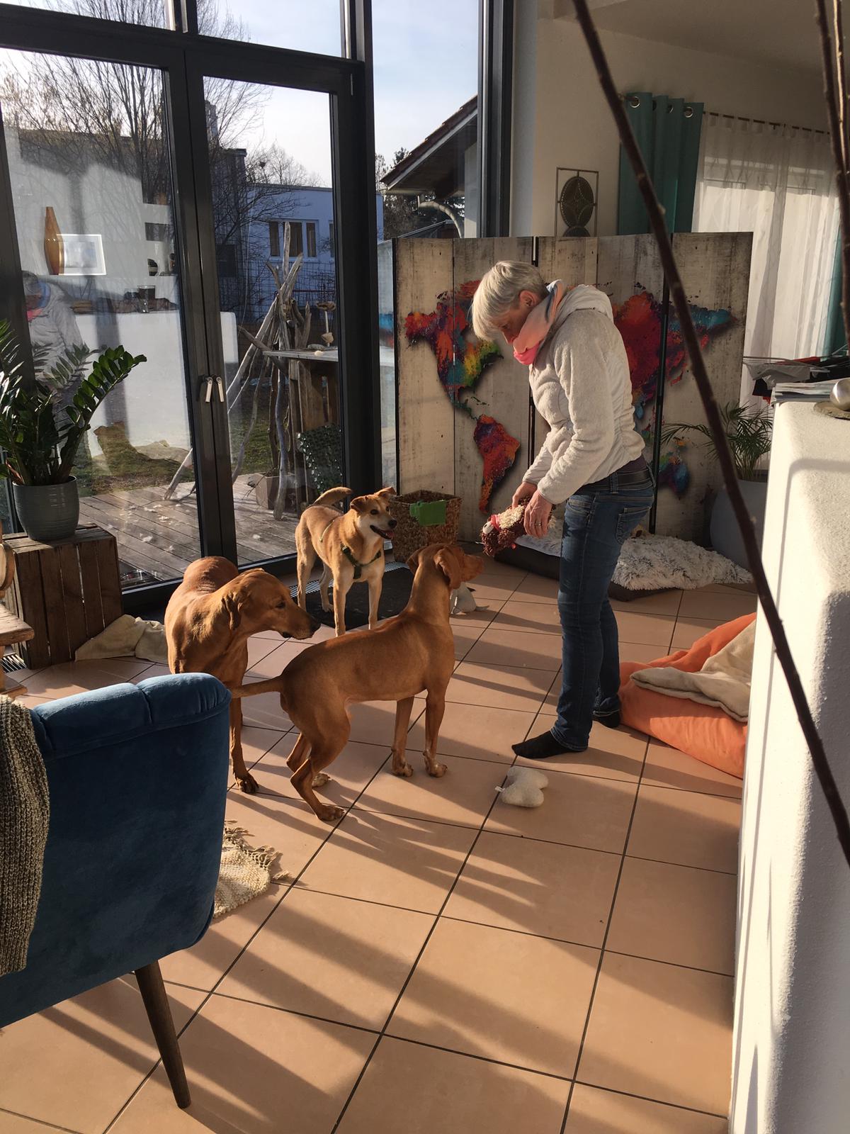 Häuser der Hoffnung e.V.