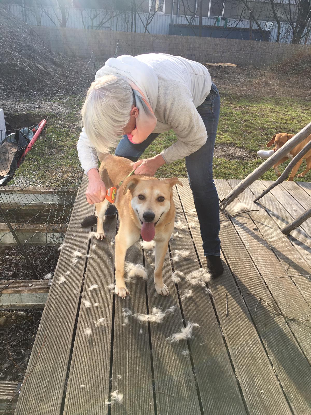 Häuser der Hoffnung e.V.