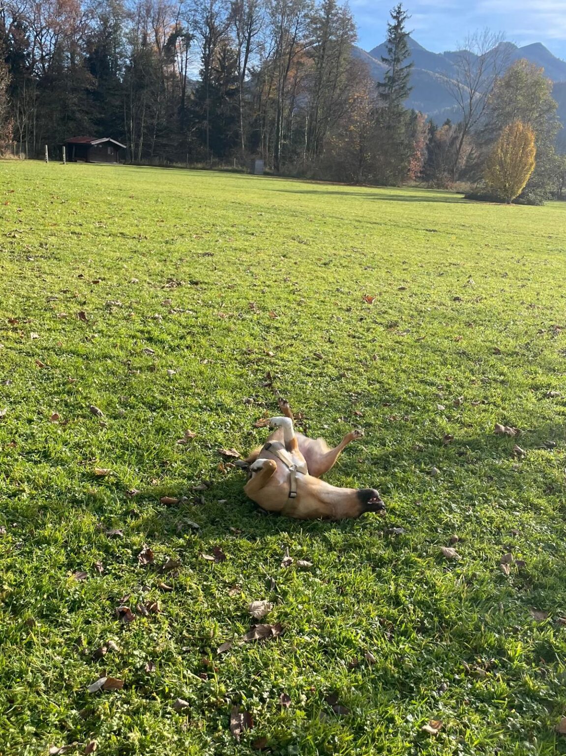 Häuser der Hoffnung e.V.