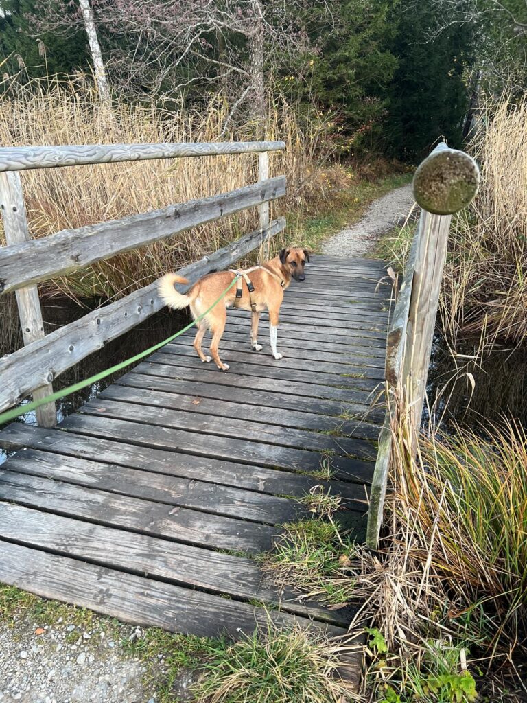 Häuser der Hoffnung e.V.