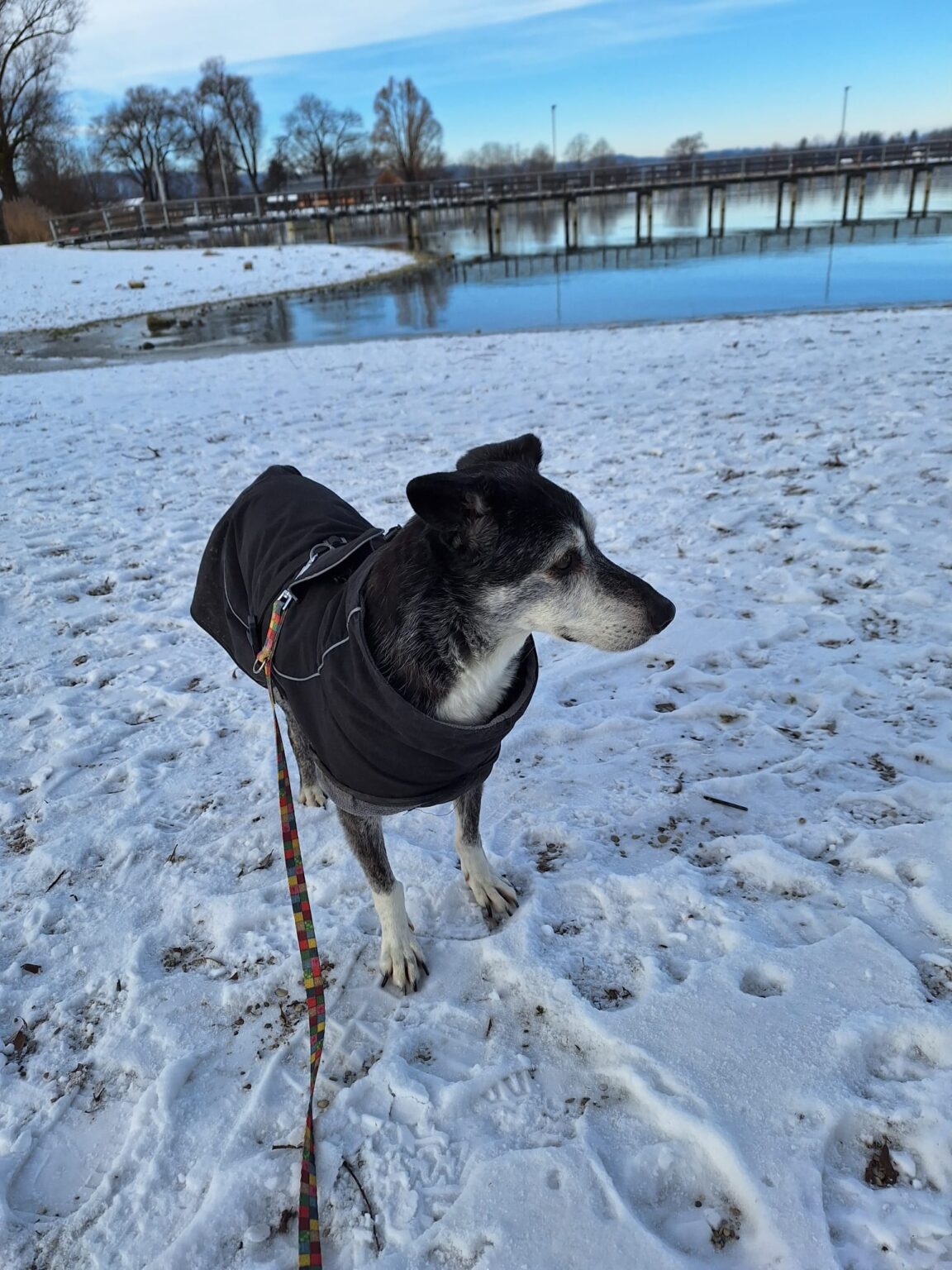 Häuser der Hoffnung e.V.