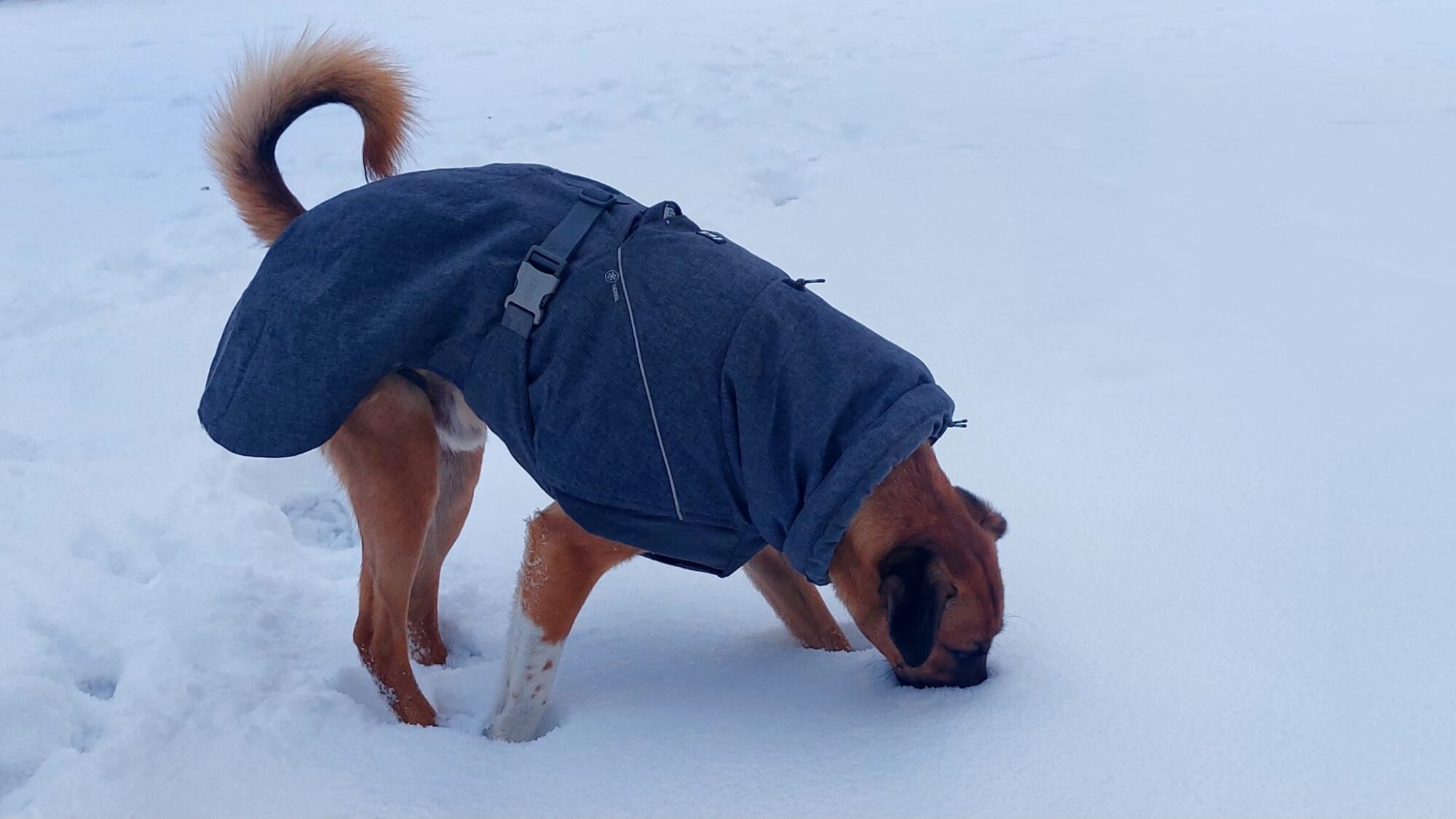 Häuser der Hoffnung e.V.