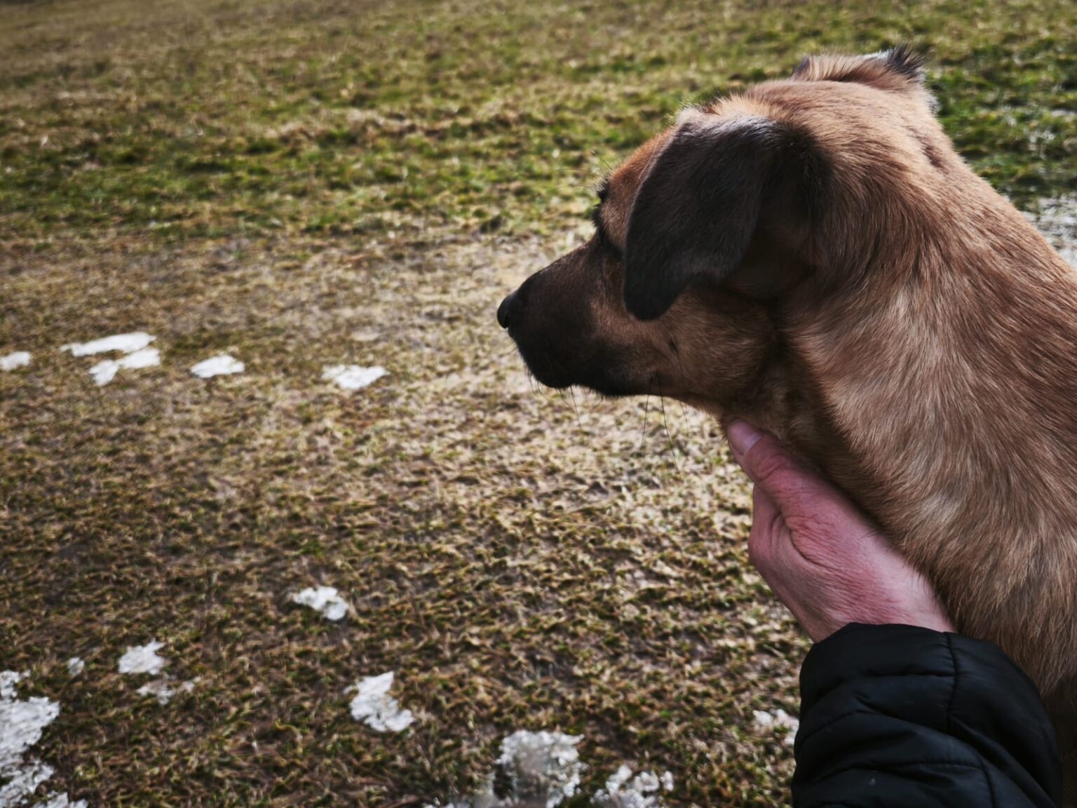 Häuser der Hoffnung e.V.