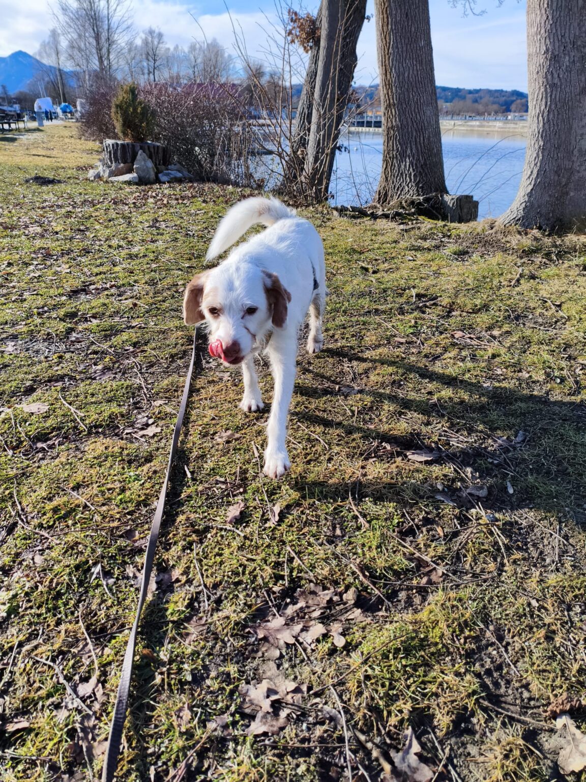 Häuser der Hoffnung e.V.