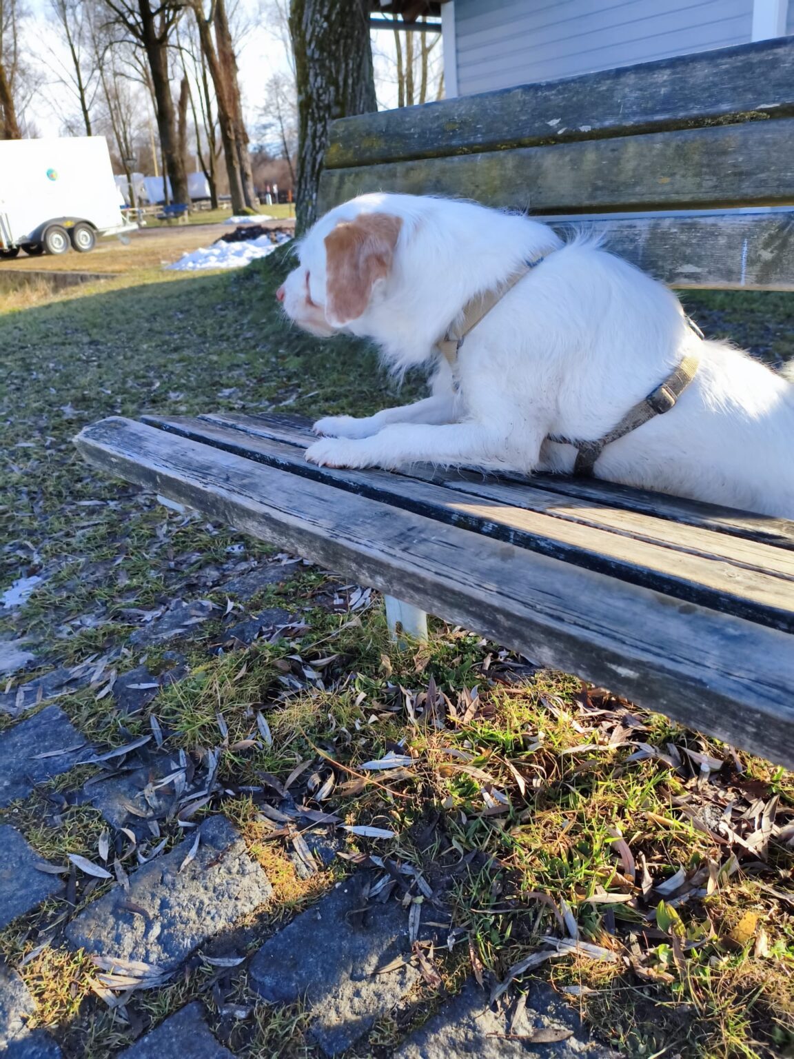 Häuser der Hoffnung e.V.