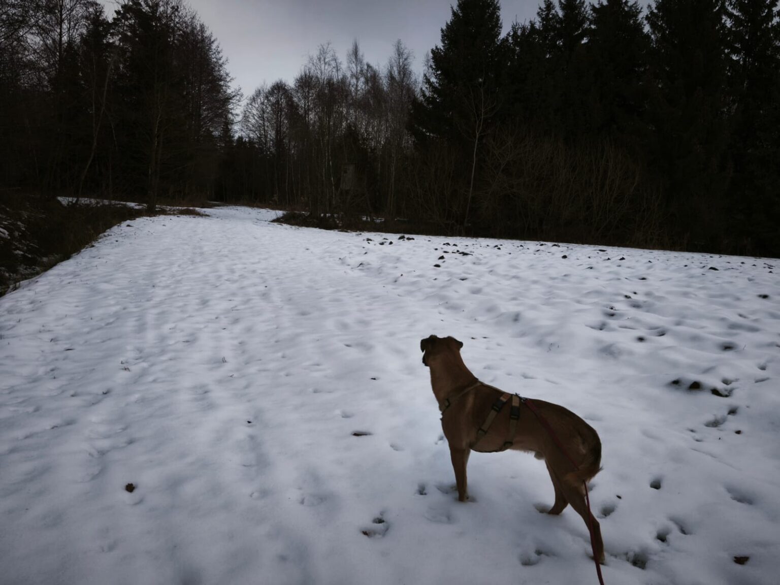 Häuser der Hoffnung e.V.